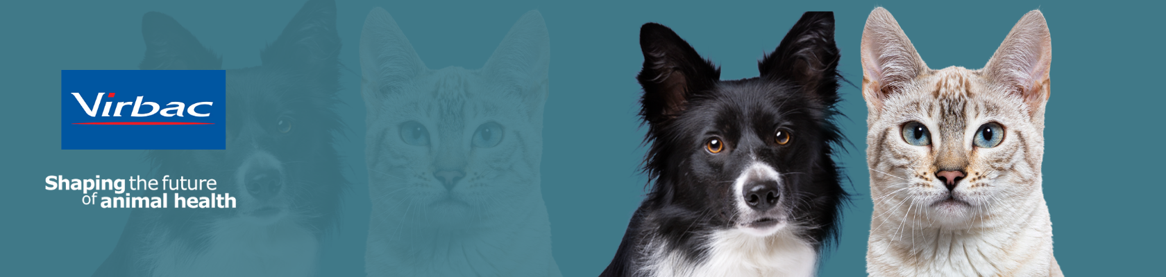 Home [ph.virbac.com]